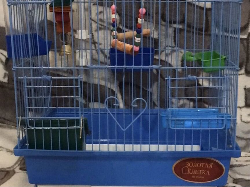 Клетка для попугая бу