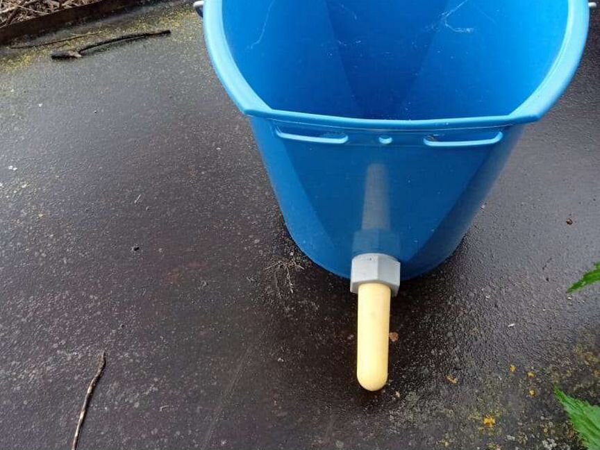 Ведра для поения телят и соска