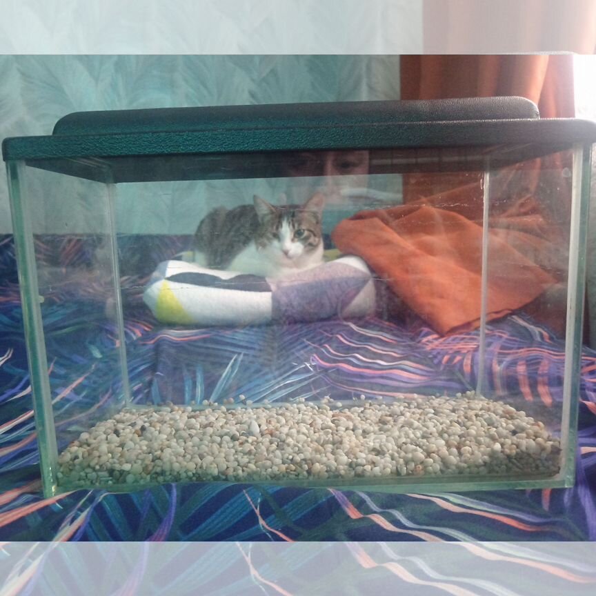 Аквариум с камушками