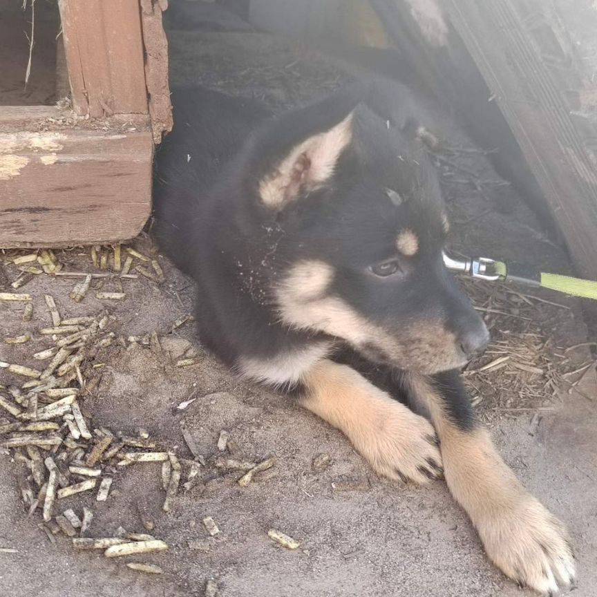 Малышу 2 мес