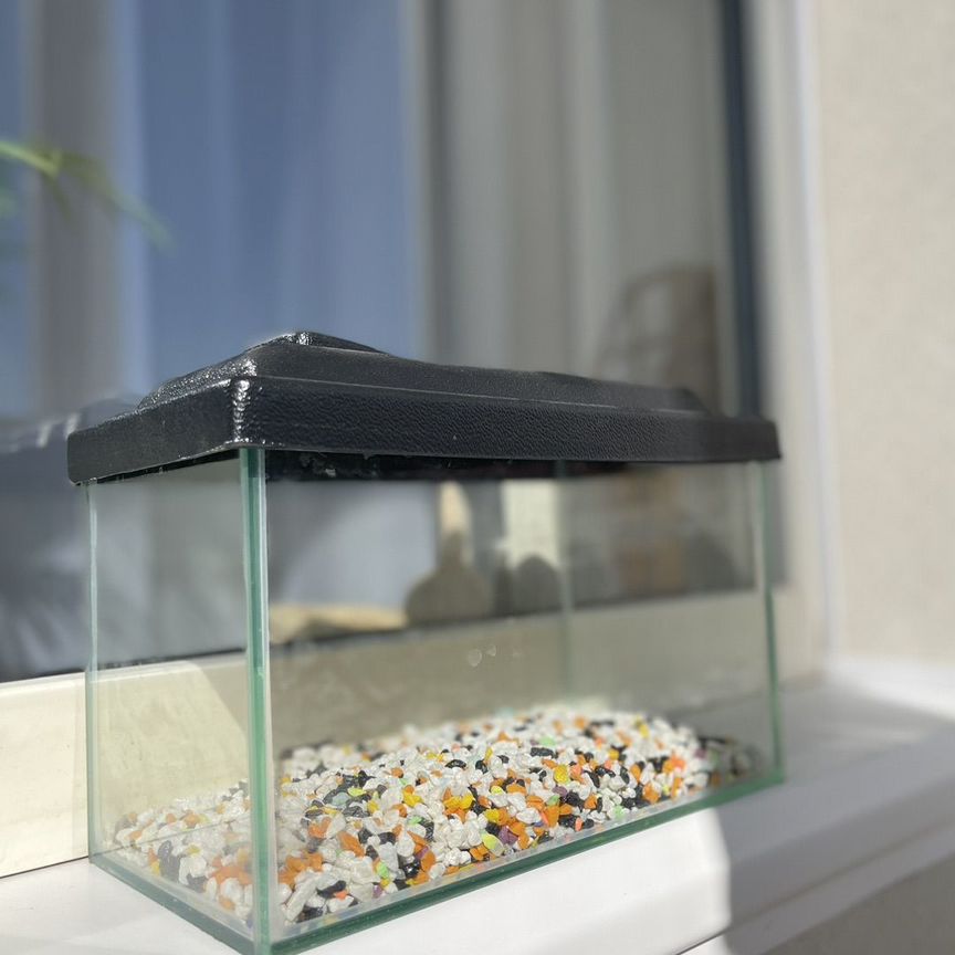 Аквариум 5 литров