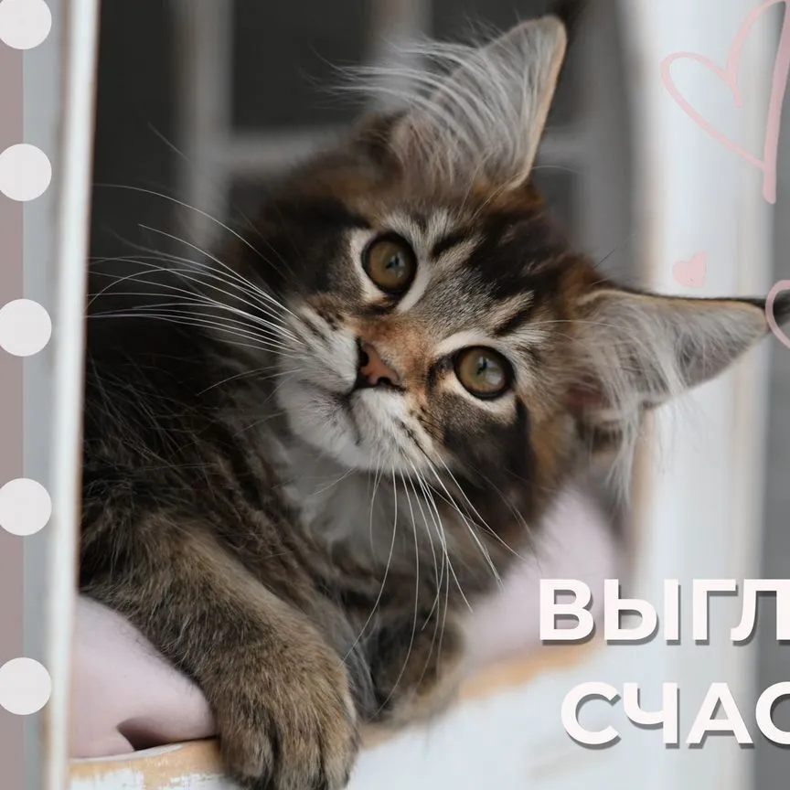 Ласковое солнышко