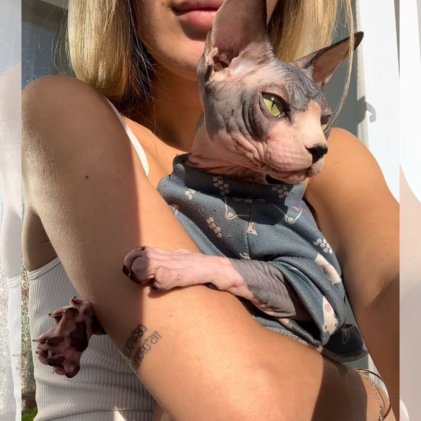 Канадский сфинкс вязка