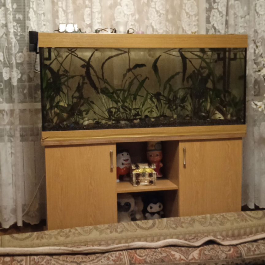 Аквариум