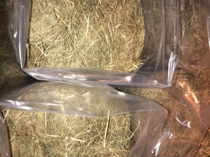 Сено луговое в пакетах по 12 кг