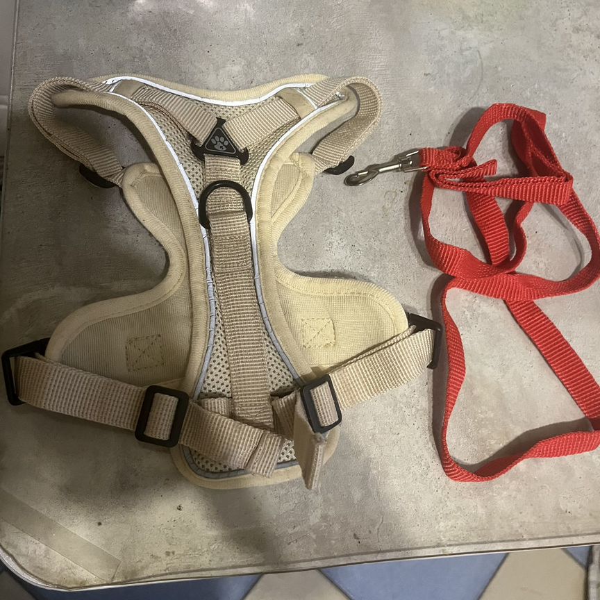 Ошейник для собак