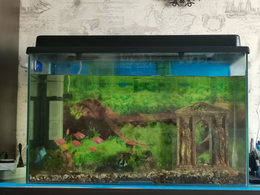 Аквариум 140 (полный комплект)