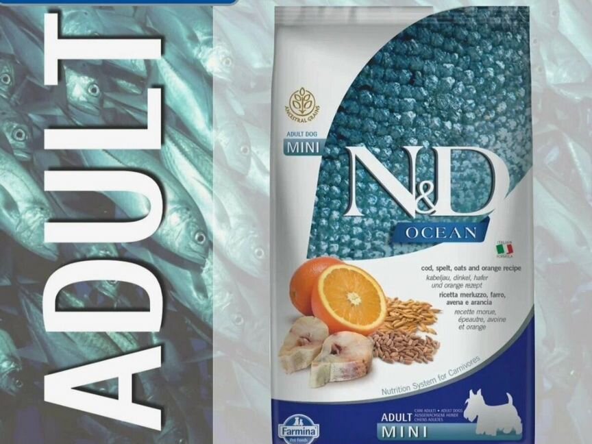 Сухой корм для собак