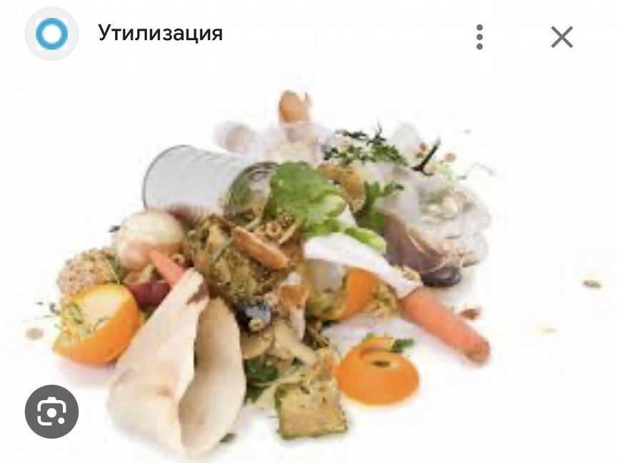 Пищевые отходы для животных