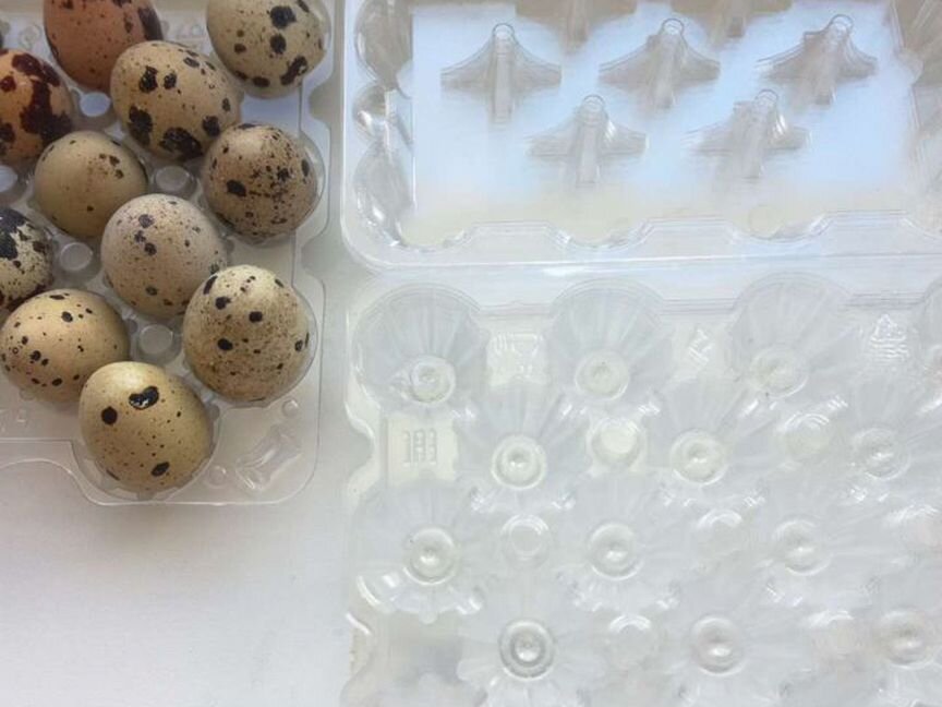 Лоток для перепелиных яиц