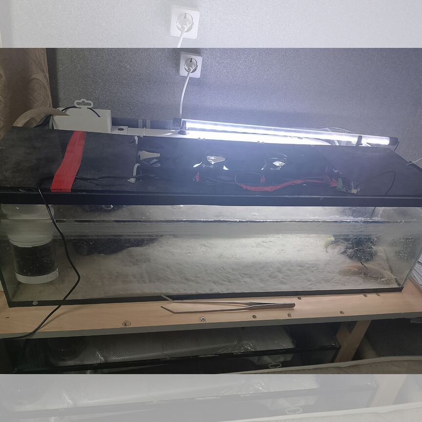 Аквариум 80 литров С аксолотлями