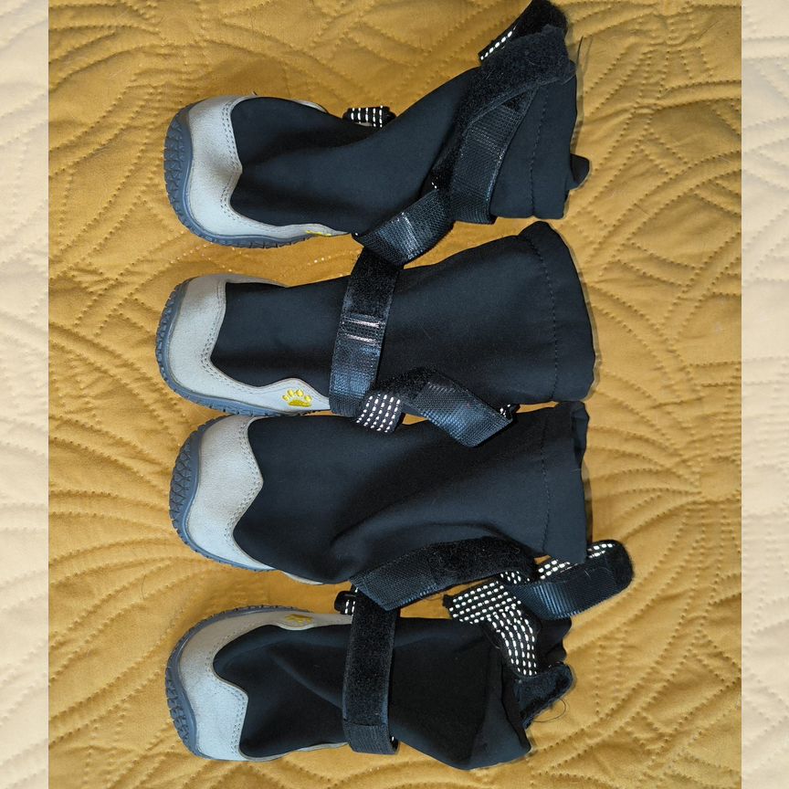 Ботинки для собак 6