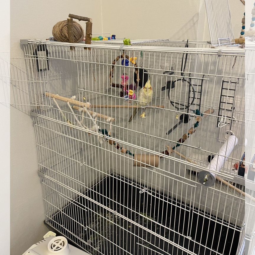 Клетка большая для животных