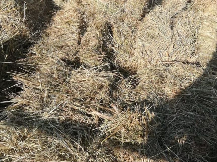 Сено, солома в тюках