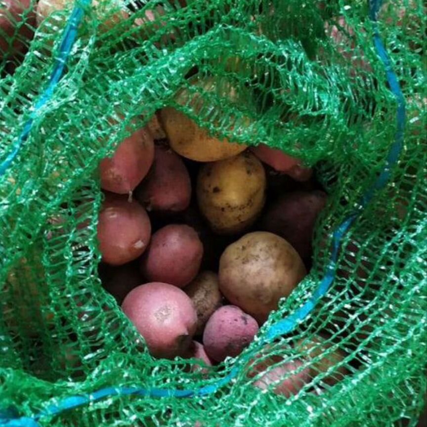 Продам картофель на корм скоту