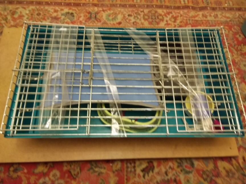 Клетка для морской свинки с гамаком