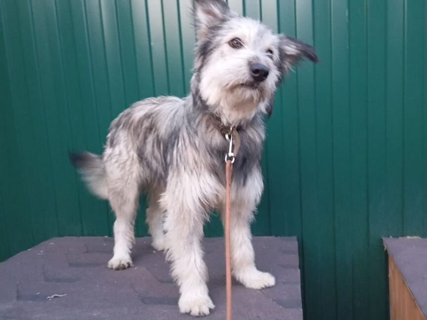 Бесподобная девочка ищет семью