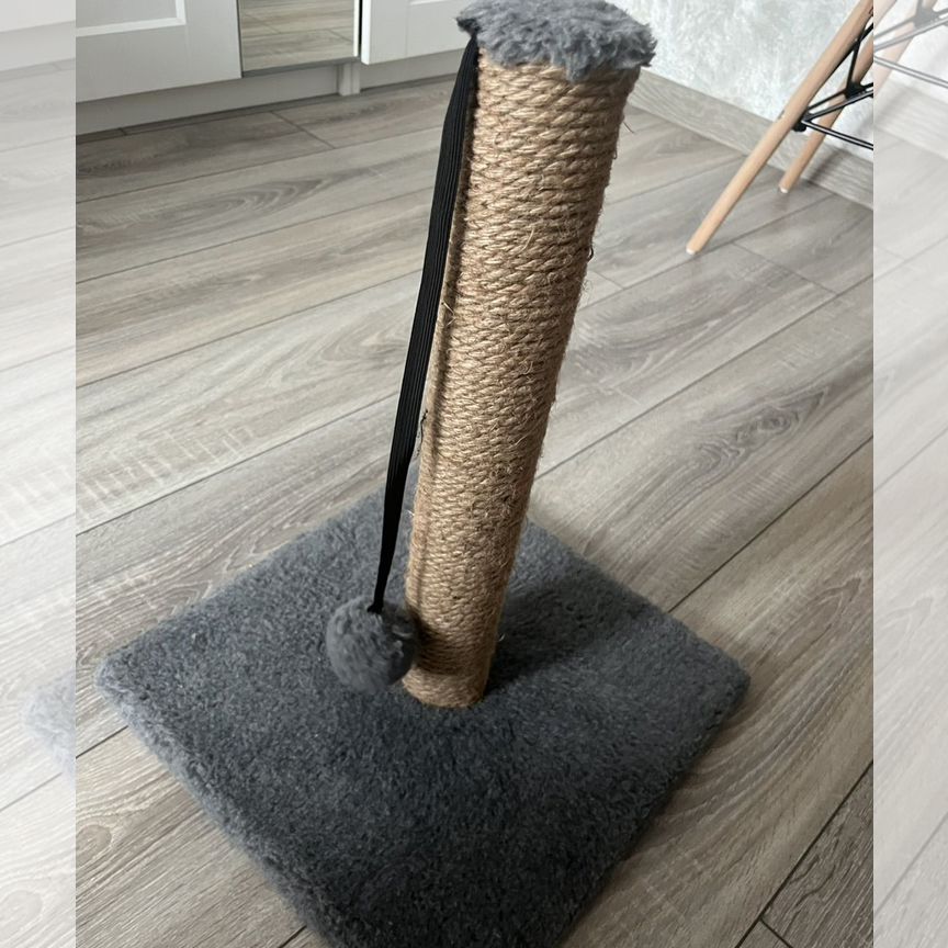 Когтеточка для кошки