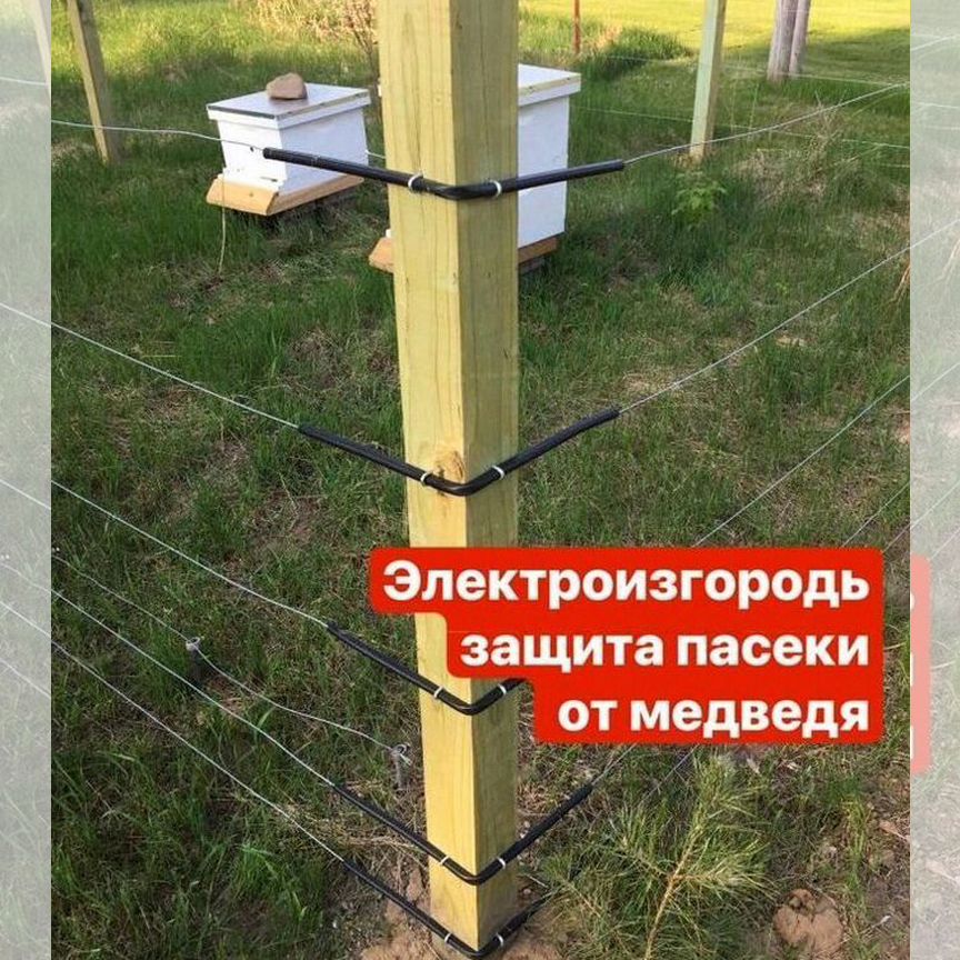 Электропастух для молочных крс и телят