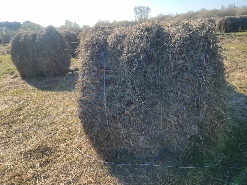 Сено