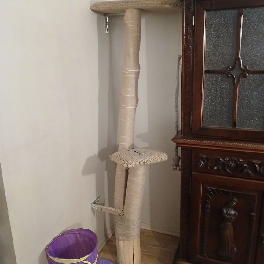 Когтеточка, дерево для кота