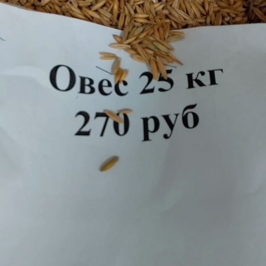 Овес в мешках