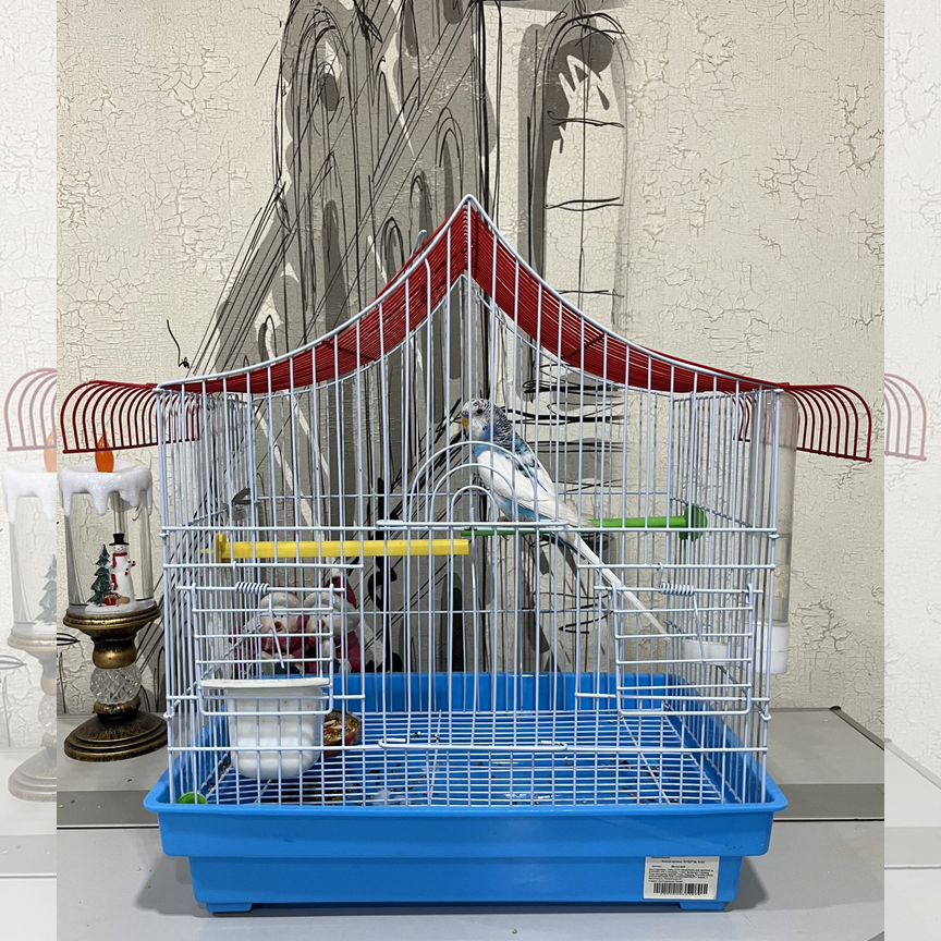 Продам волнистая попугая вместе клеткой