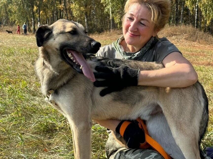 Милый Жак скучает в приюте