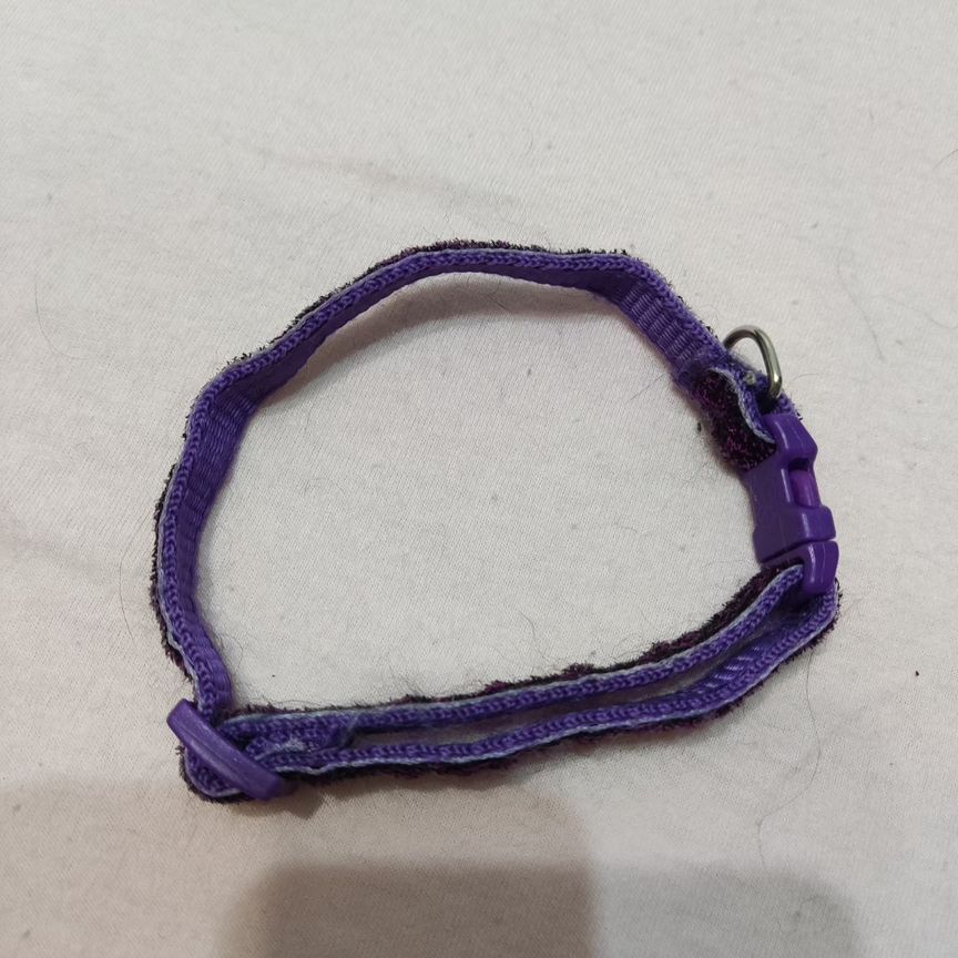 Ошейник для кошек