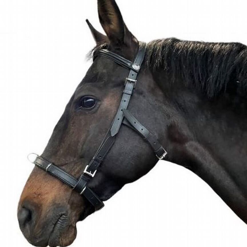 Кавессон кожаный для лошади новый