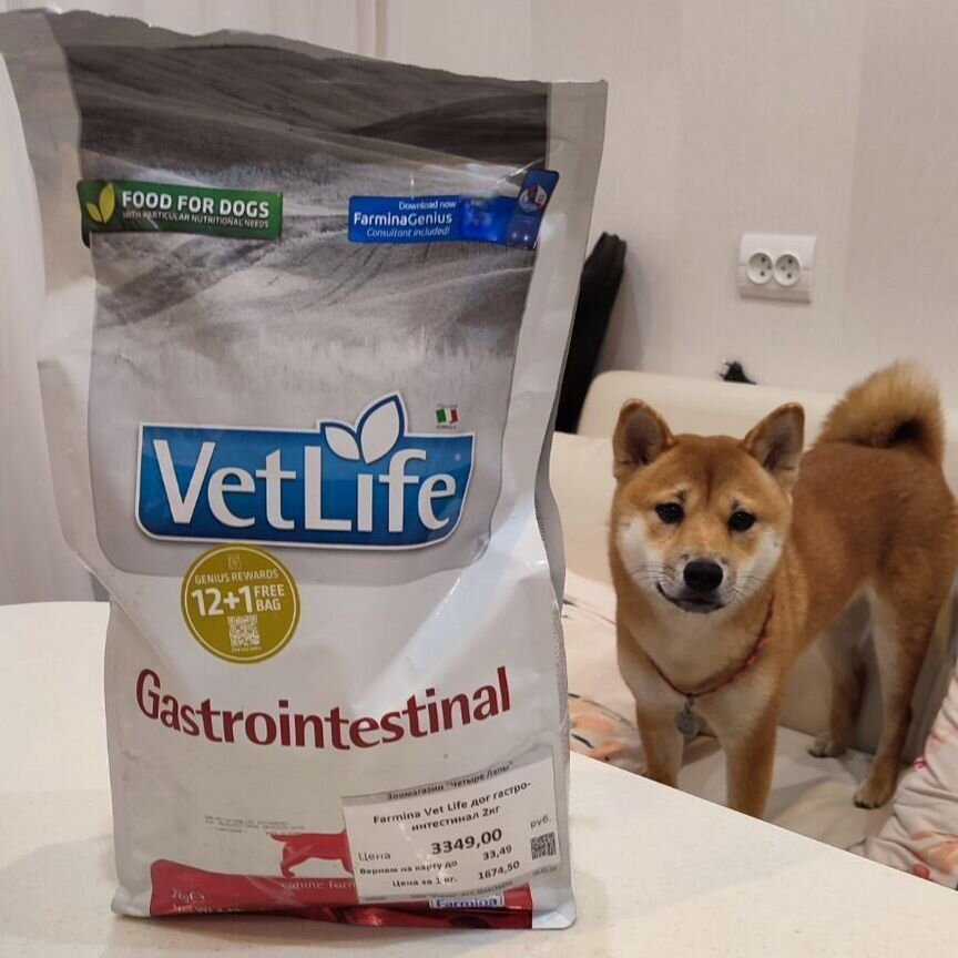 Корм для собак