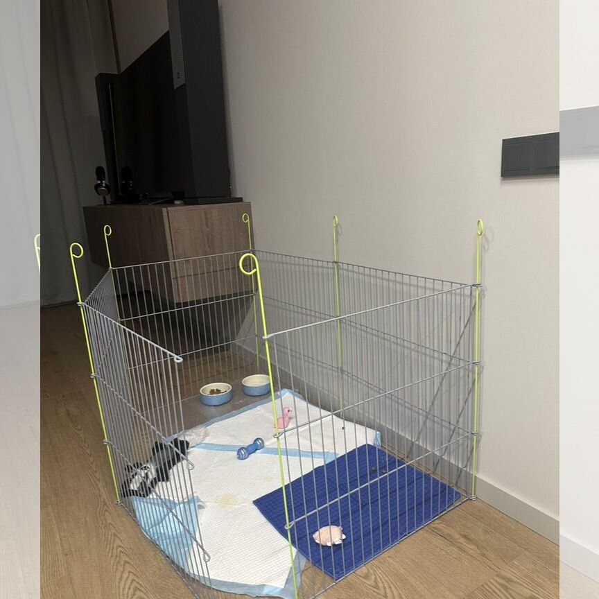 Товары для животных