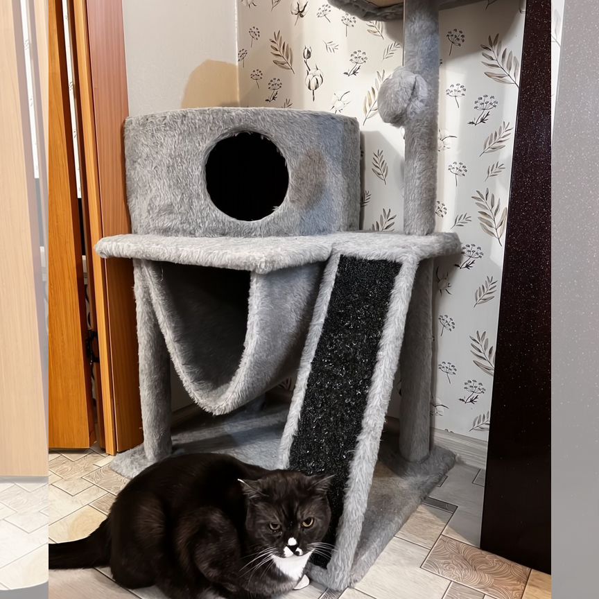 Когтеточка и домик для кошки бу