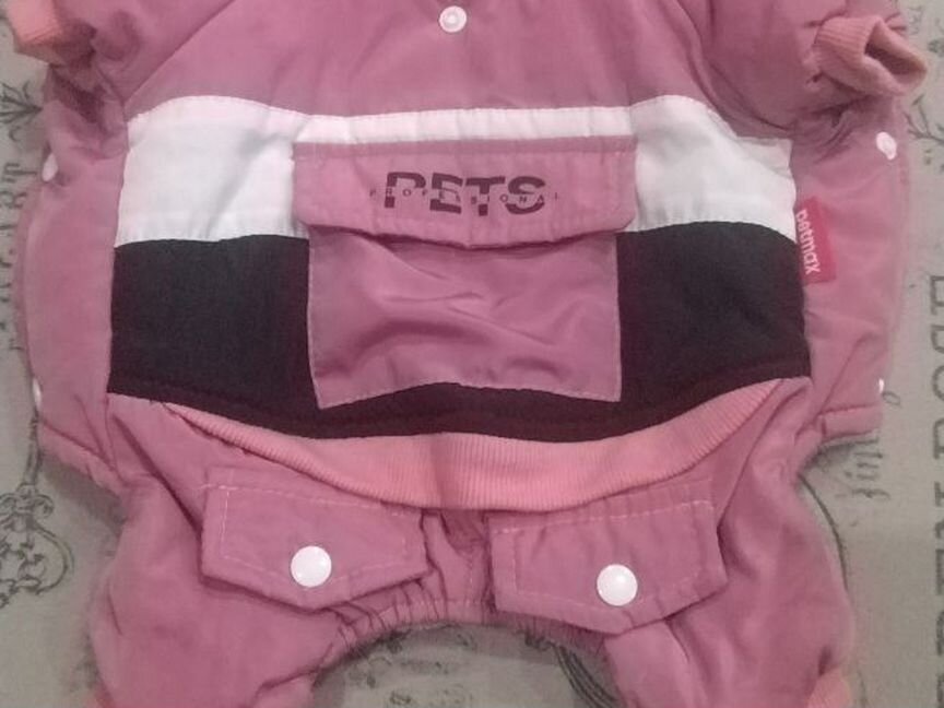 Одежда для маленьких собак зима