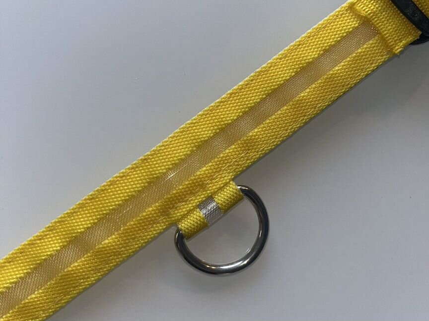 Новый светящийся ошейник