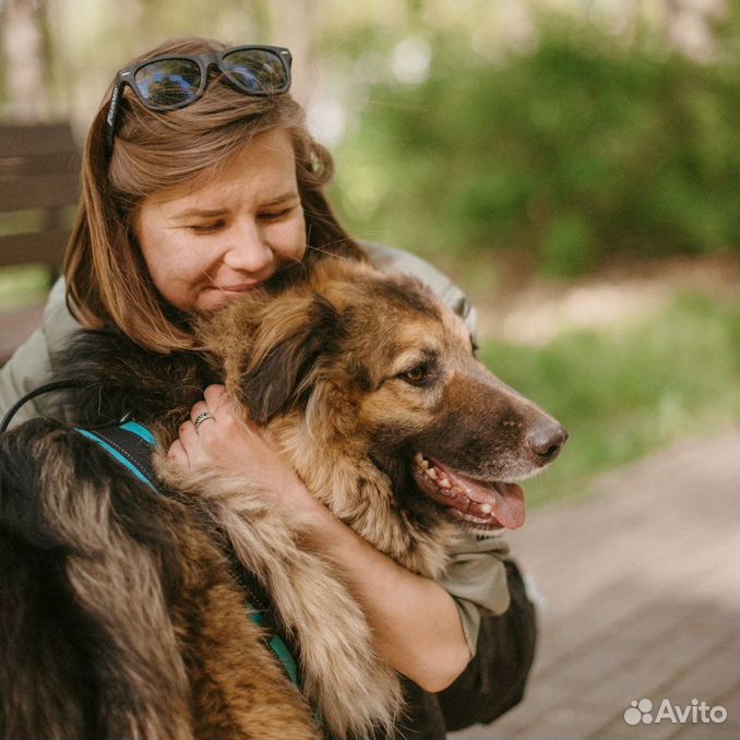 Меховой Оскар в добрые руки