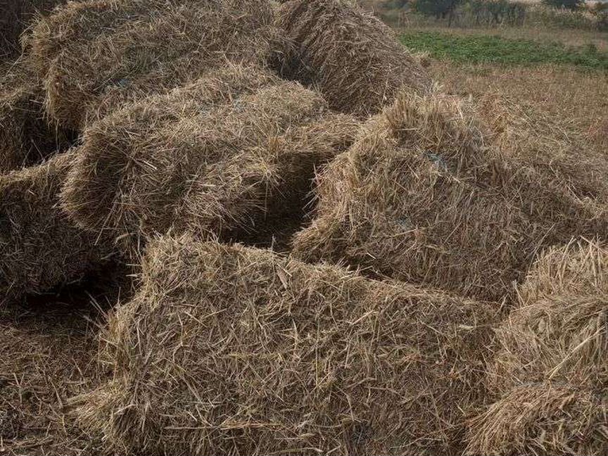 Сена в тюках, доставка