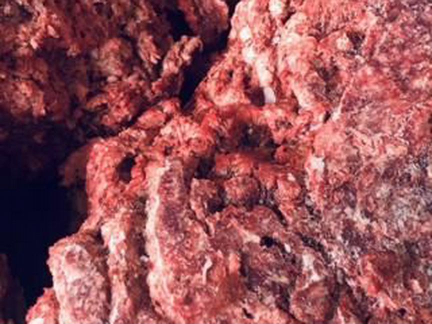 Корма для животных