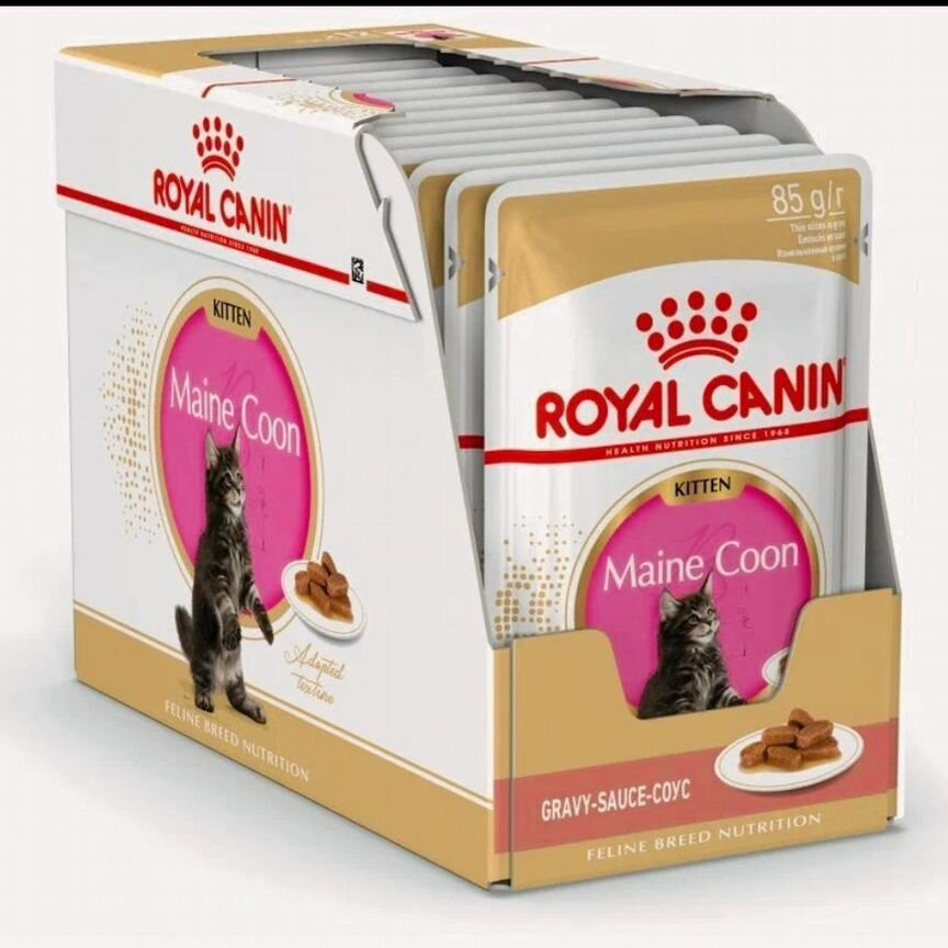 Royal canin maine coon kitten для котят
