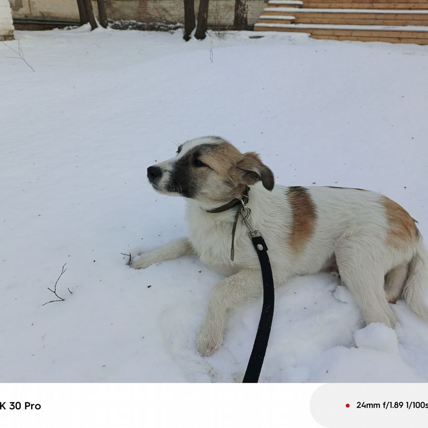 Ищем руки в Питер