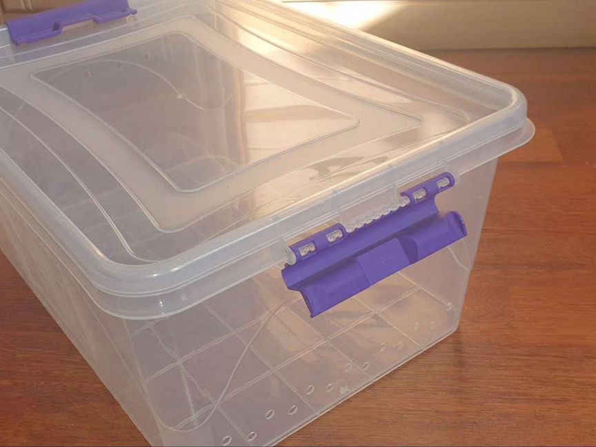 Контейнер для эублефара