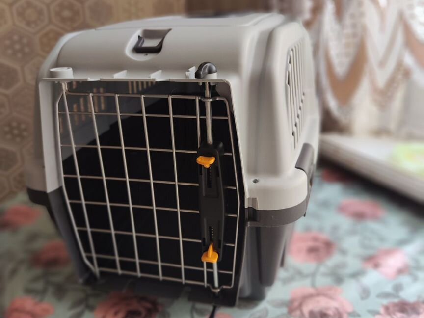 Переноска для кошек пластиковая, аренда