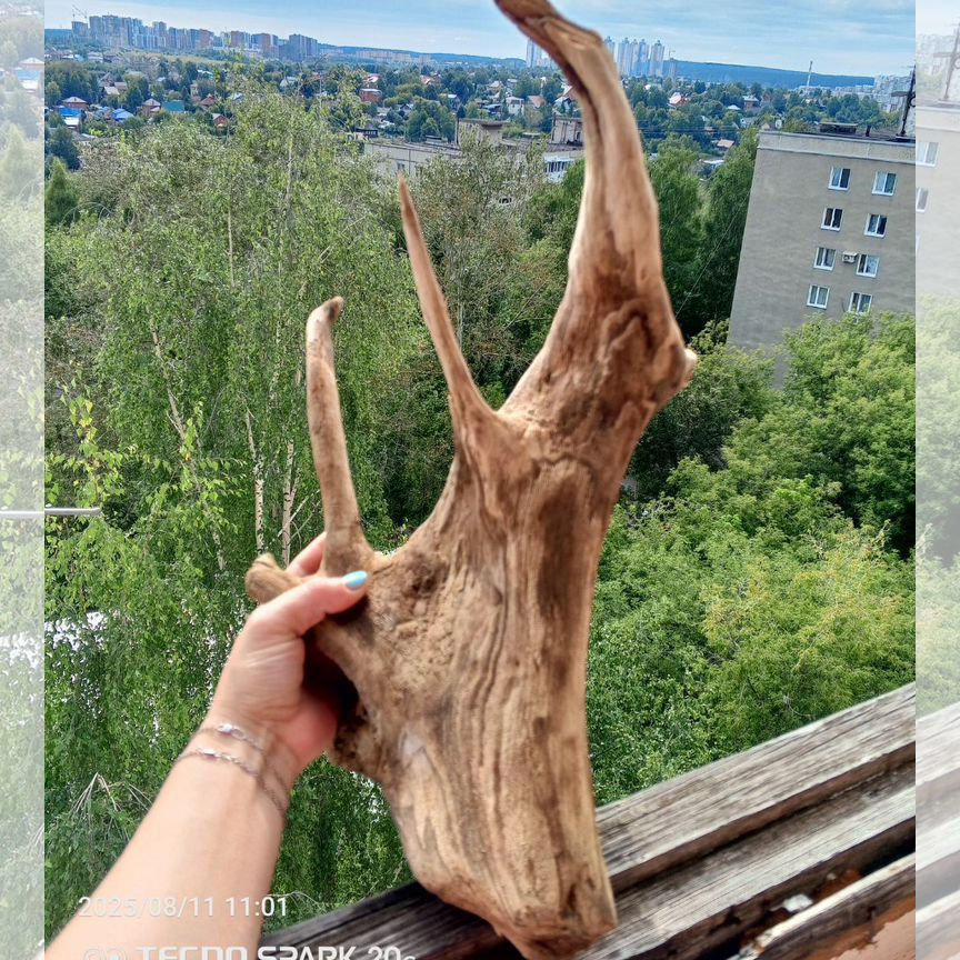 Готовые коряги для аквариума и террариума