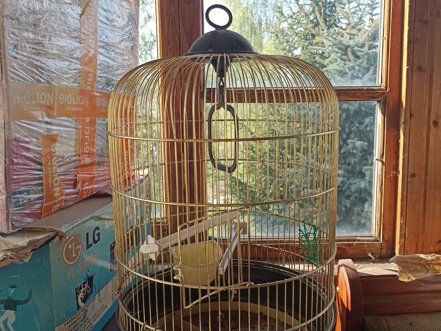 Клетка для попугая подвесная за кольцо