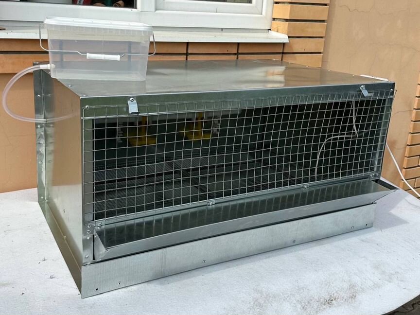 Брудер для цыплят с кормушкой