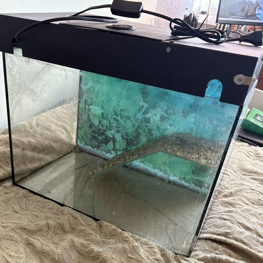 Аквариум для красноухой черепахи бу 60 литров