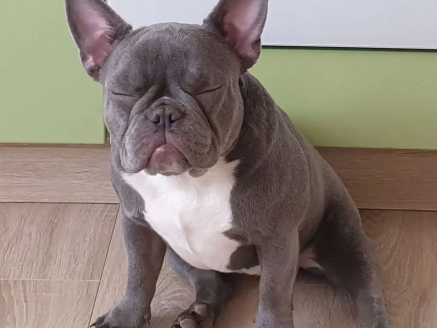 Взрослая девочка 2,5 года