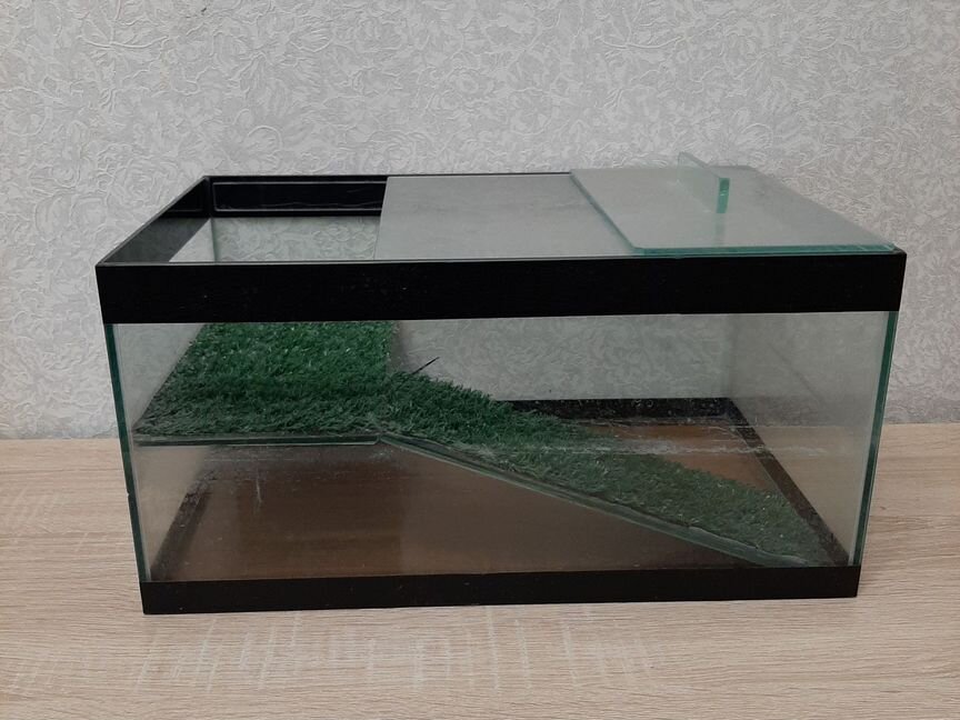 Аквариум для красноухой черепахи