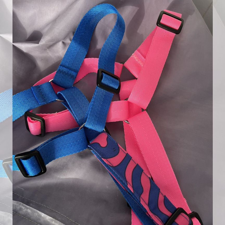 Шлейка для собаки