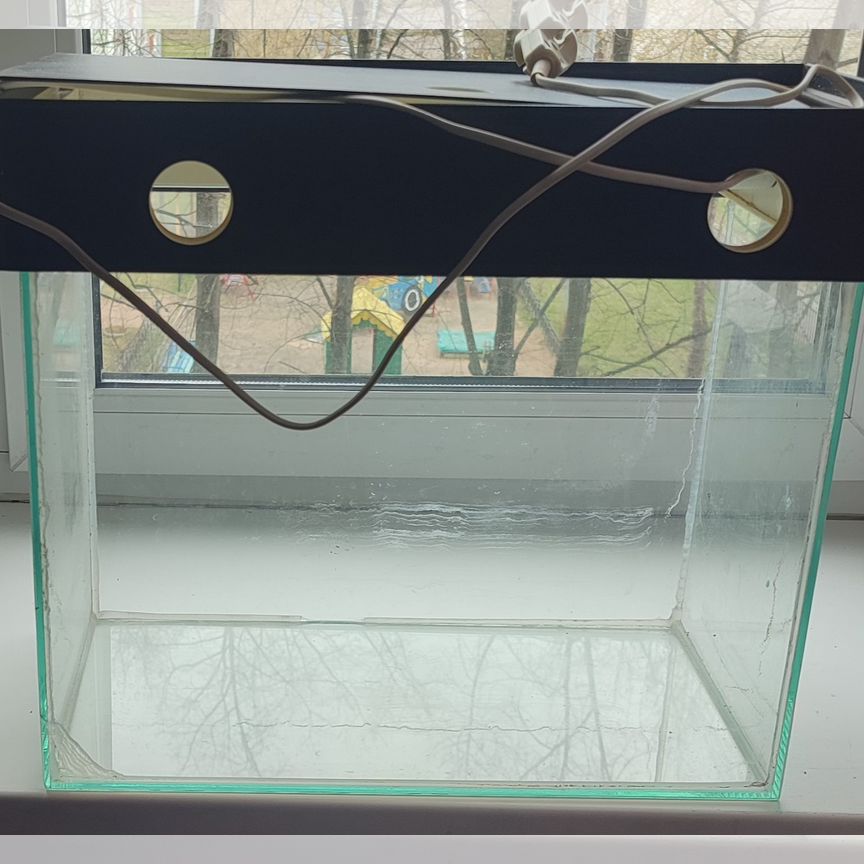 Аквариум в хорошие руки